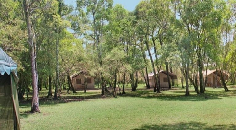 Lemek Conservancy - masai mara nationa reserve