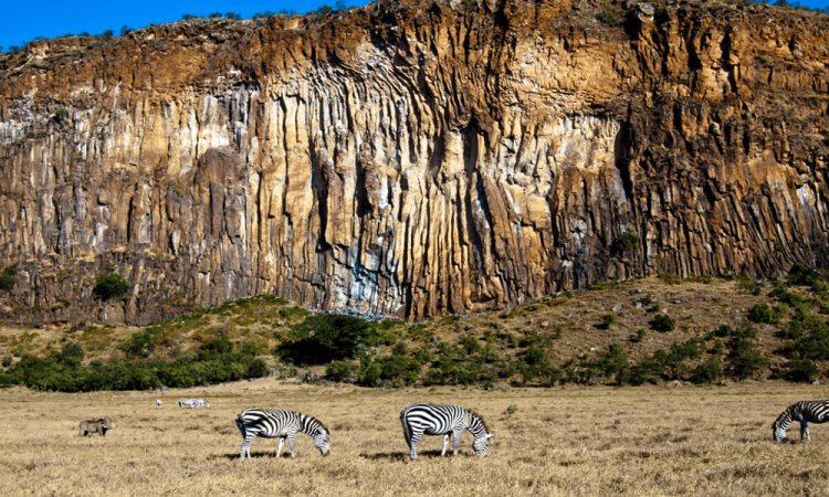 Hell’s gate National Park - Maasai Mara National Reserve