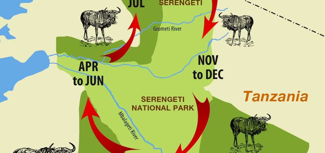Information - Page 20 of 34 - Maasai Mara National Reserve