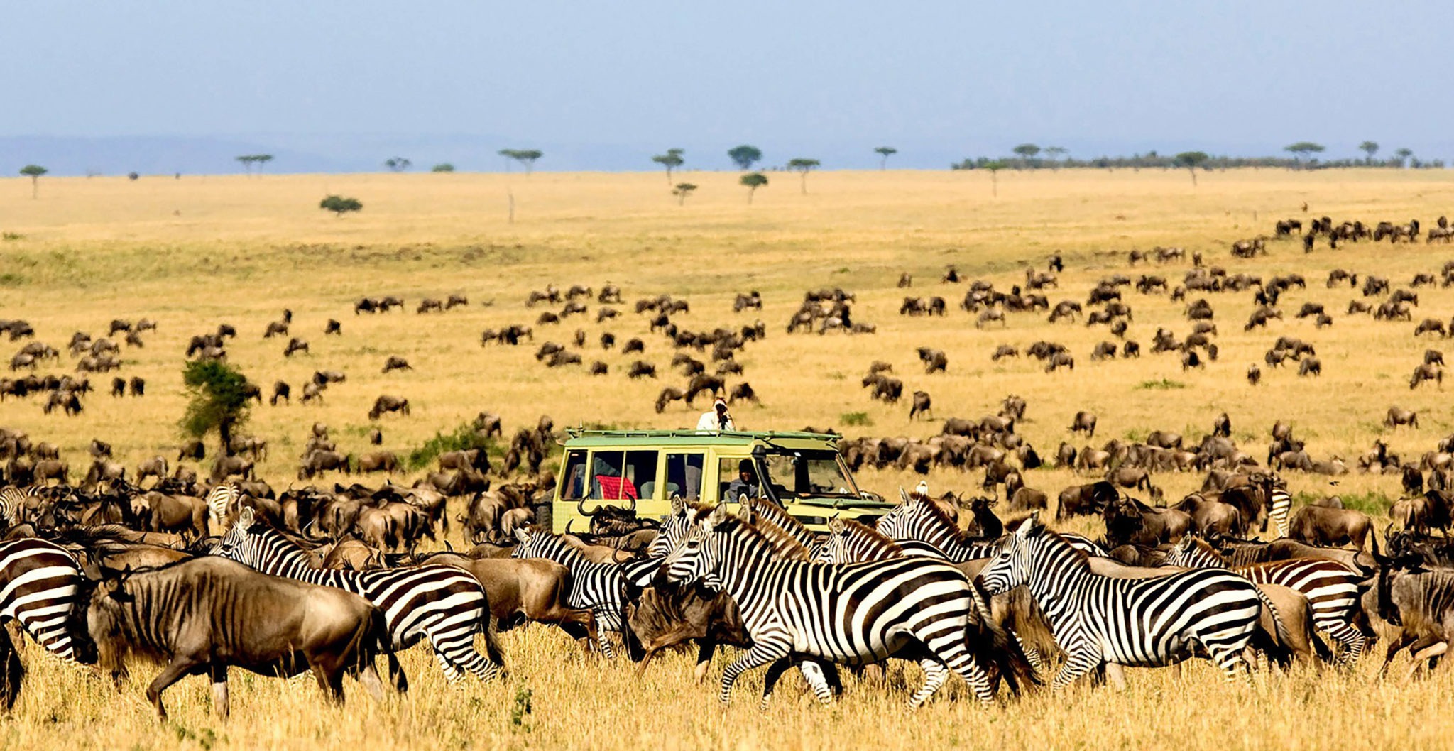 8 Days Masai Mara Serengeti Volcanoes Safari Wildebeest Migration 8 Days Masai Mara Serengeti Volcanoes Safari Wildebeest Migration