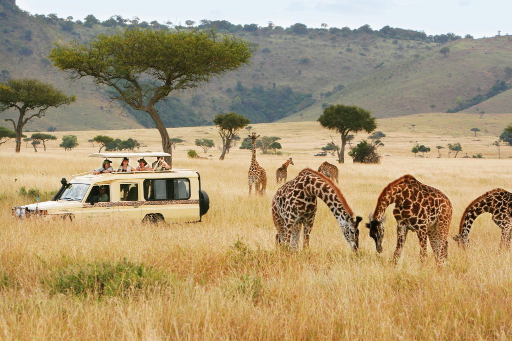 Kenya National Park Conservation Fees 2022 2024 Kenya Safaris Tours
