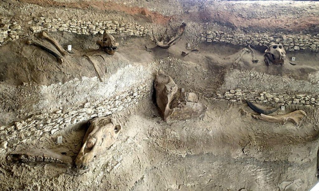 Kariandusi prehistoric site | Kariandusi Museum | Kenya Safaris Tours