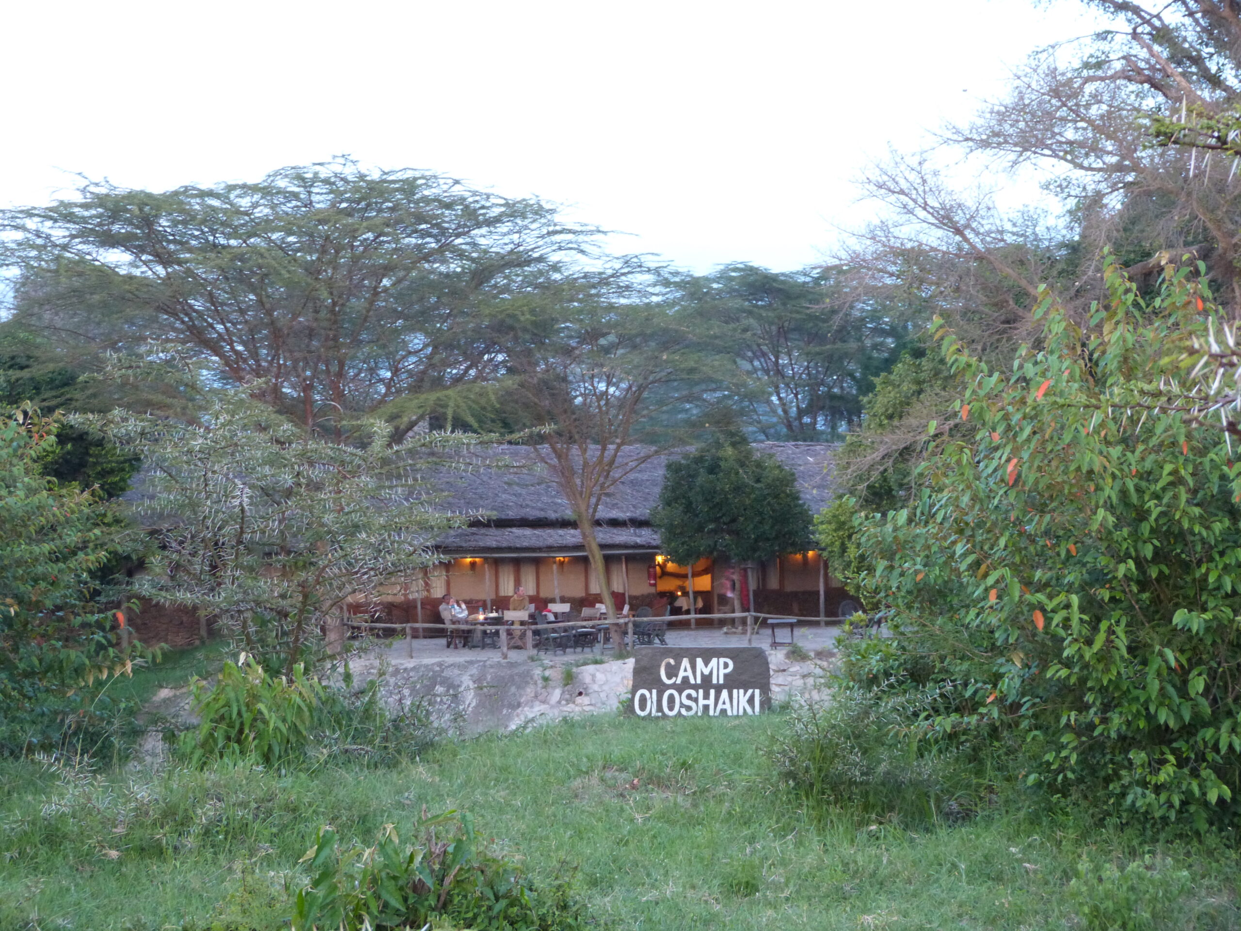 Oloshaiki camp | Maasai Mara National Reserve | Kenya Safaris Tours