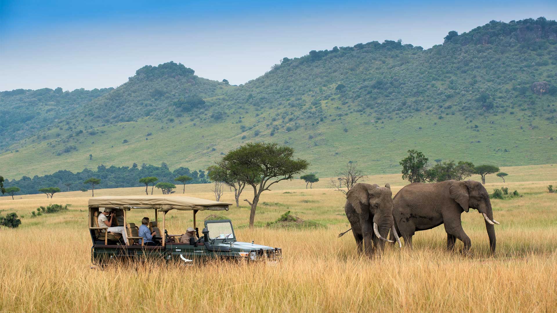 How To Book A Masai Mara Safari Maasai Mara National Reserve How To Book A Masai Mara Safari Maasai Mara National Reserve