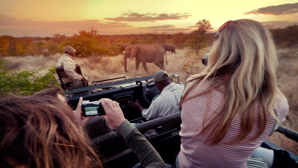 Tips for taking the best safari photos | Photographic Safaris in Kenya