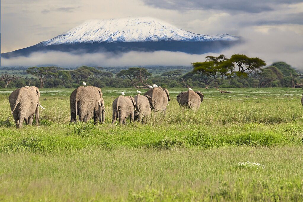 Unmissable Landscapes in Kenya | Kenya Safari