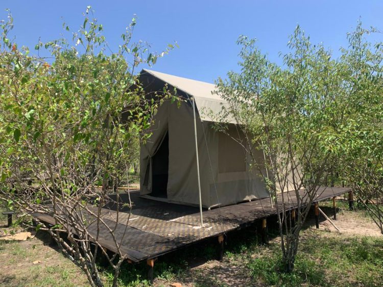 Resian Mara Camp | Kenya Wildlife Tours | Kenya Safari