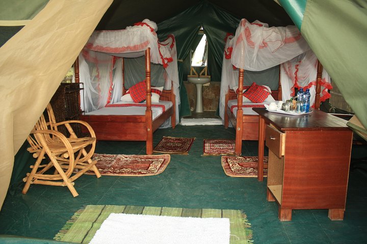 Mara Silalei Camp | Kenya Wildlife Safaris | Maasai Mara | Kenya