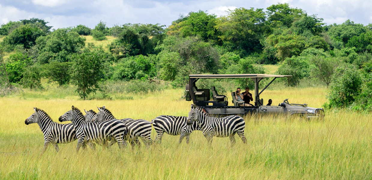 10 Days Classic Rwanda Safari | Rwanda Tour | Rwanda Safari